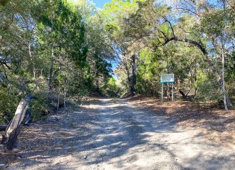 The Inskip Point Camping Guide - Queensland Camping