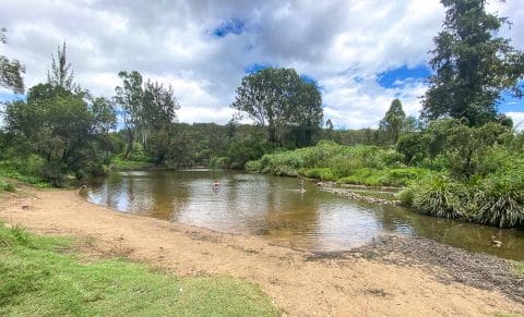 Best Camping Near Brisbane – 20 Awesome Campsites within a 2 Hour Drive ...